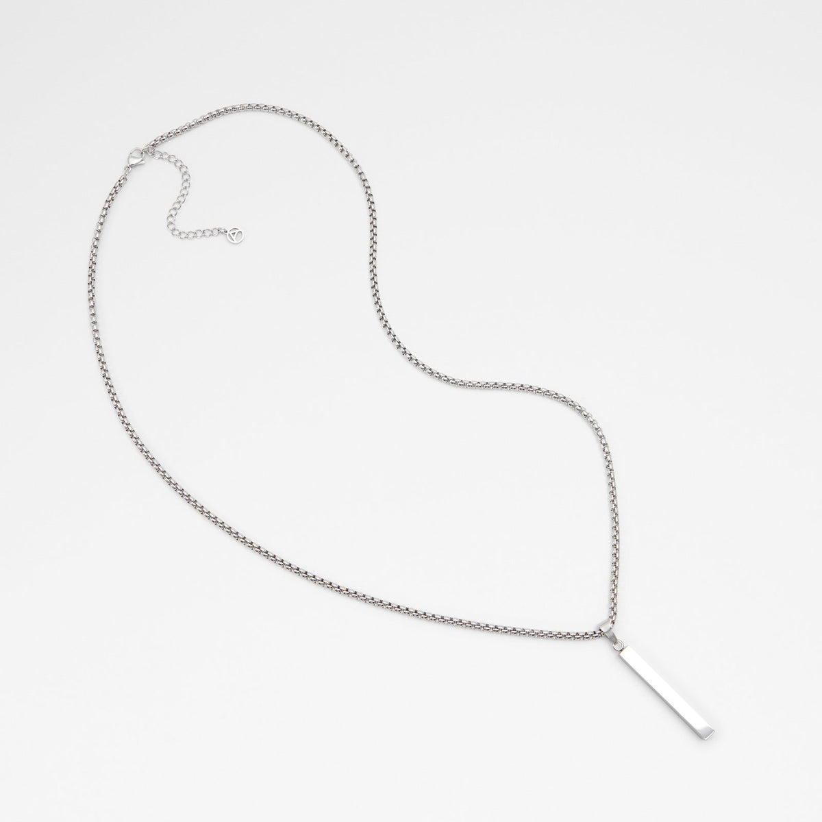 Garnt Accessories Silver By Aldo